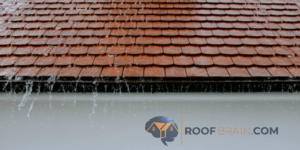 Water-Shedding Roof System - ROOFBRAIN.COM